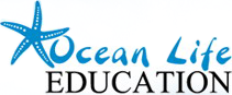 Ocean Life Education | School & Early Learning Incursions