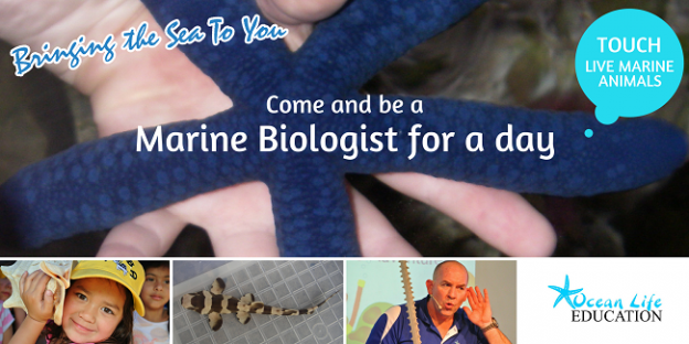 Marine Biologist for a Day – 10 April - Ocean Life Education