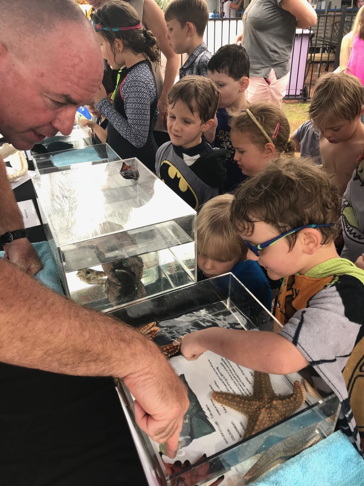 Party Animals - Ocean Life Education