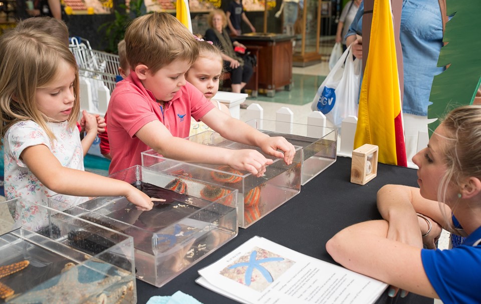 Celebrating SeaWeek - Ocean Life Education