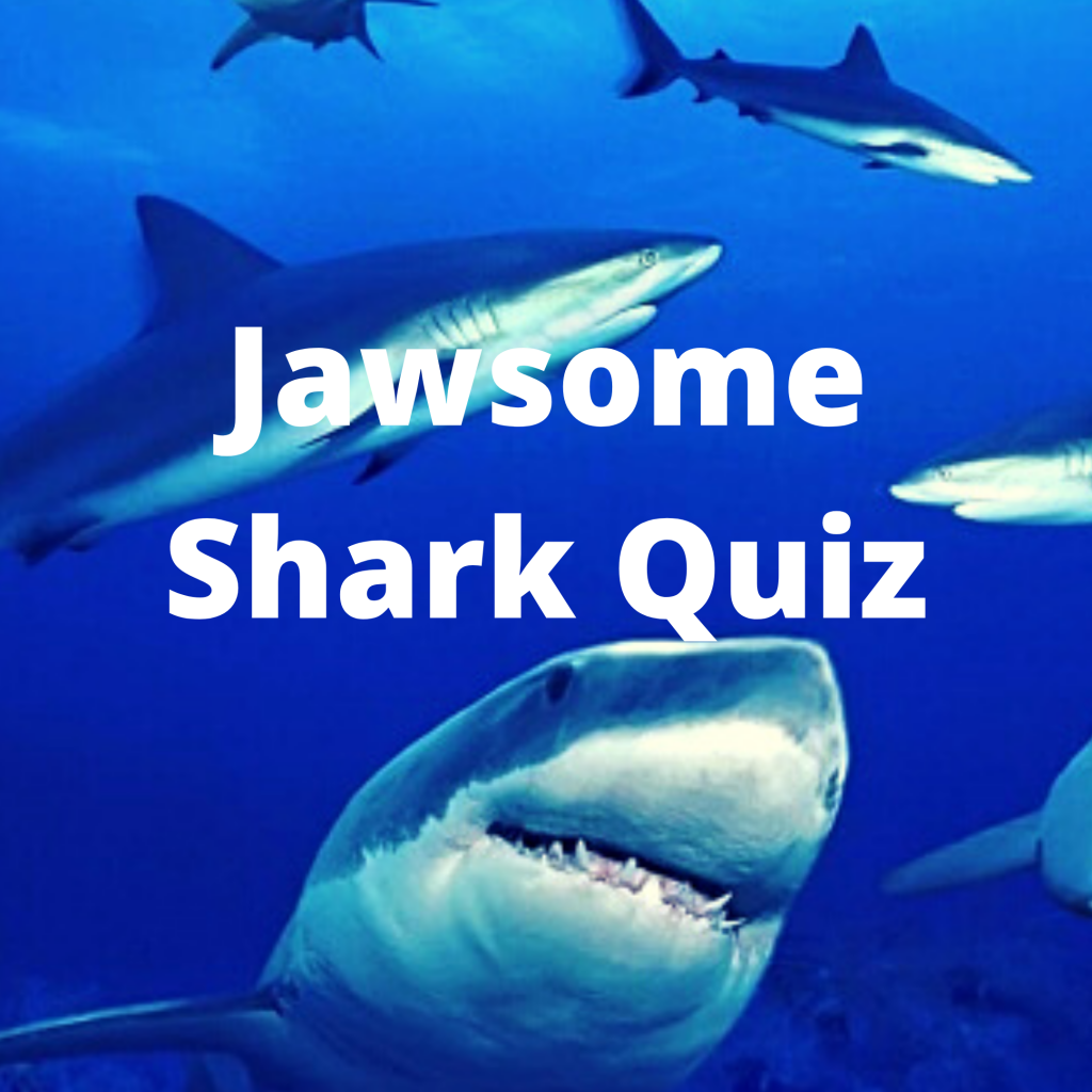 Amazing Sharks Facts Quiz - Ocean Life Education