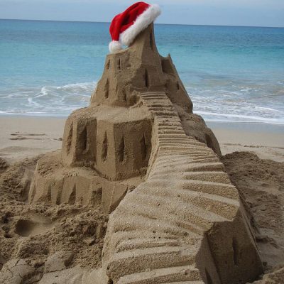Best Christmas Holiday Beach Activities - Ocean Life Education