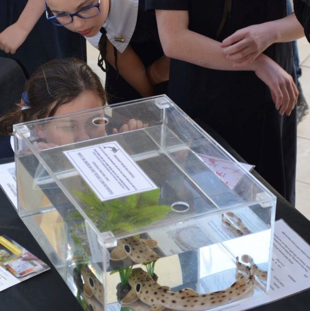 Primary Incursions - Ocean Life Education