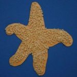 Early Learning Resources - Ocean Life Education