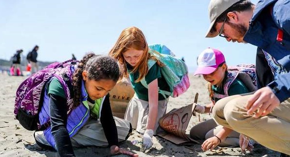 How to Organise a Sunshine Coast Beach Clean - Ocean Life Education