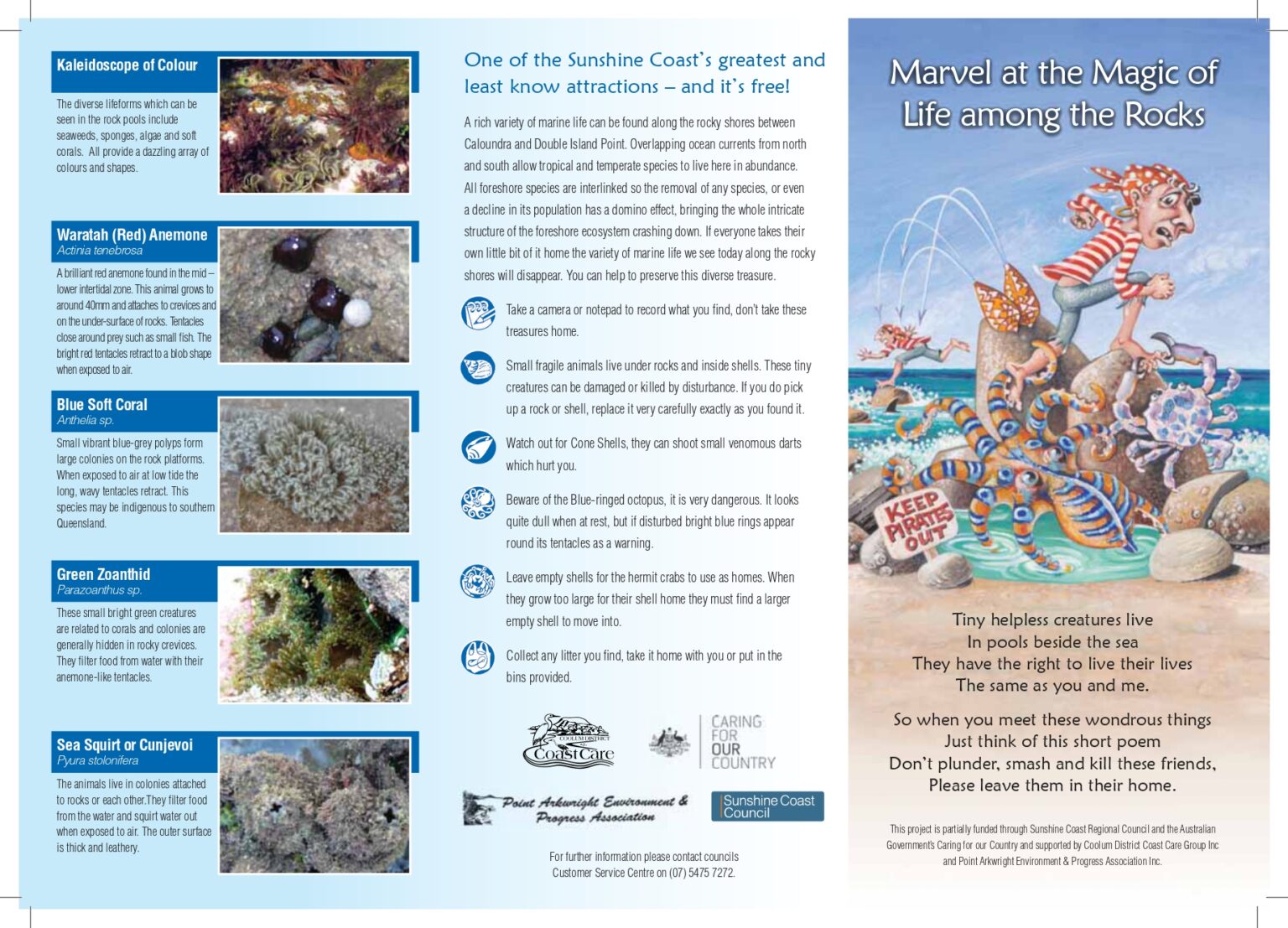 Sunshine Coast Rockpool Guide - Ocean Life Education