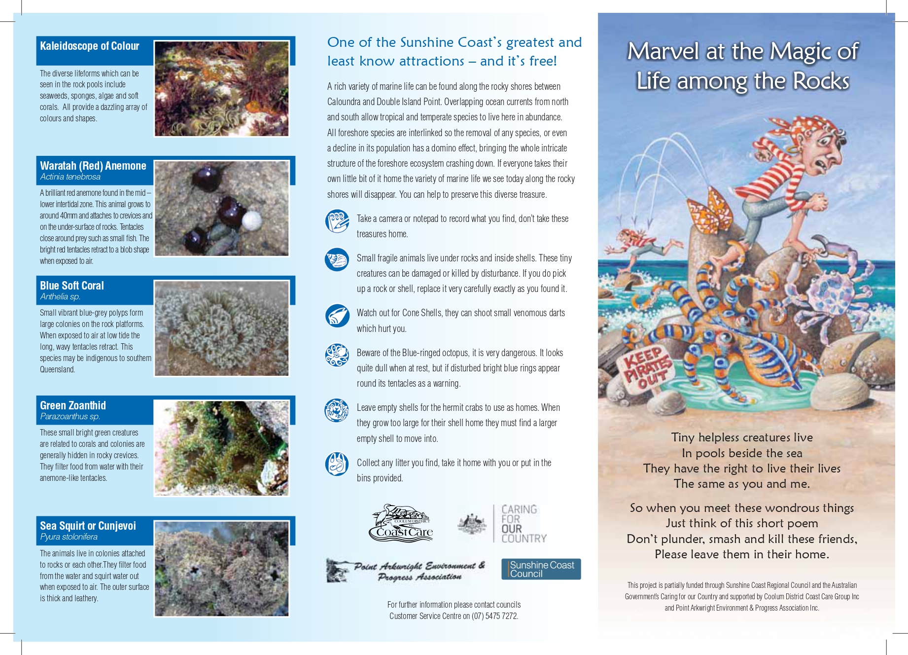 Sunshine Coast Rockpool Guide - Ocean Life Education