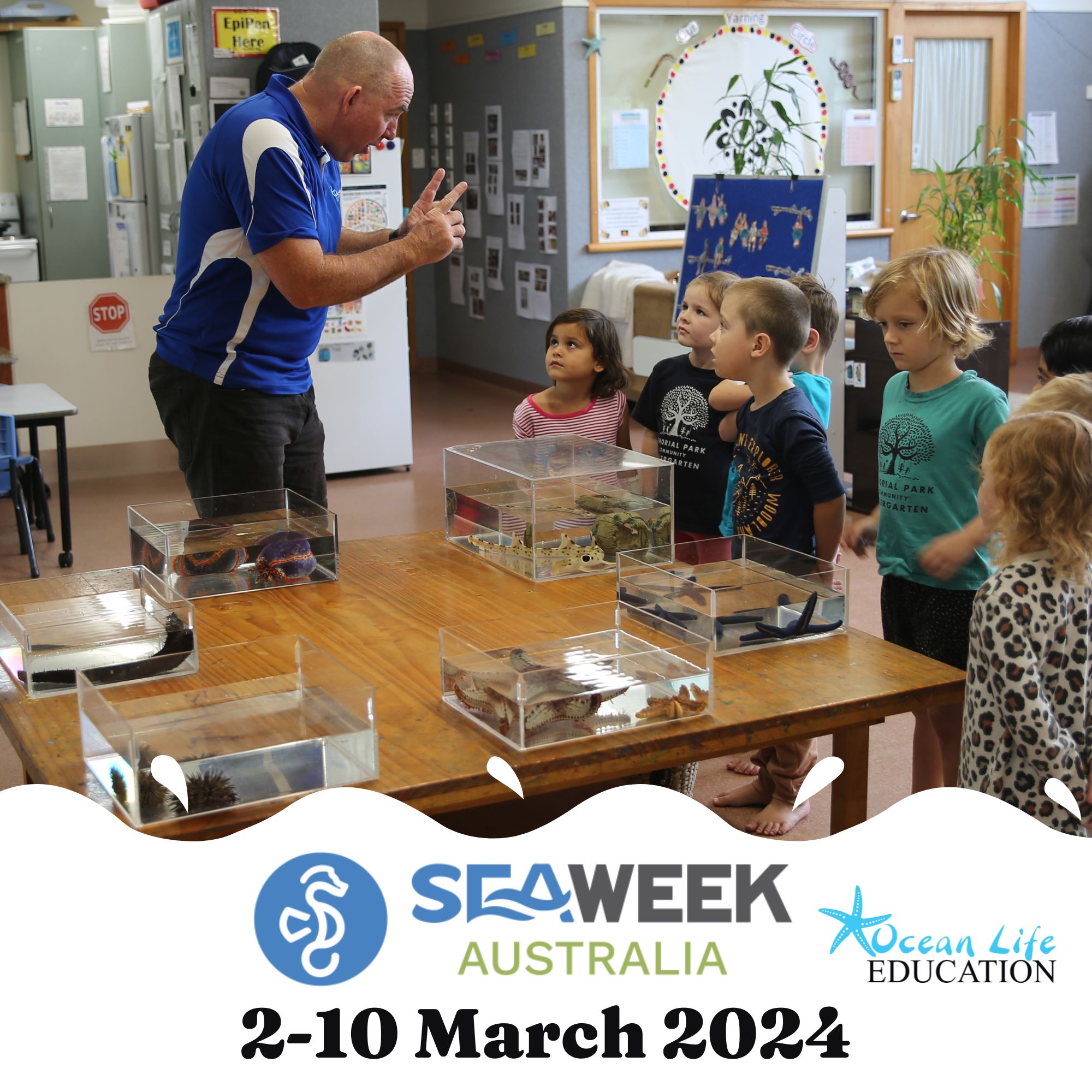 20 Teaching Activities for SeaWeek - Ocean Life Education
