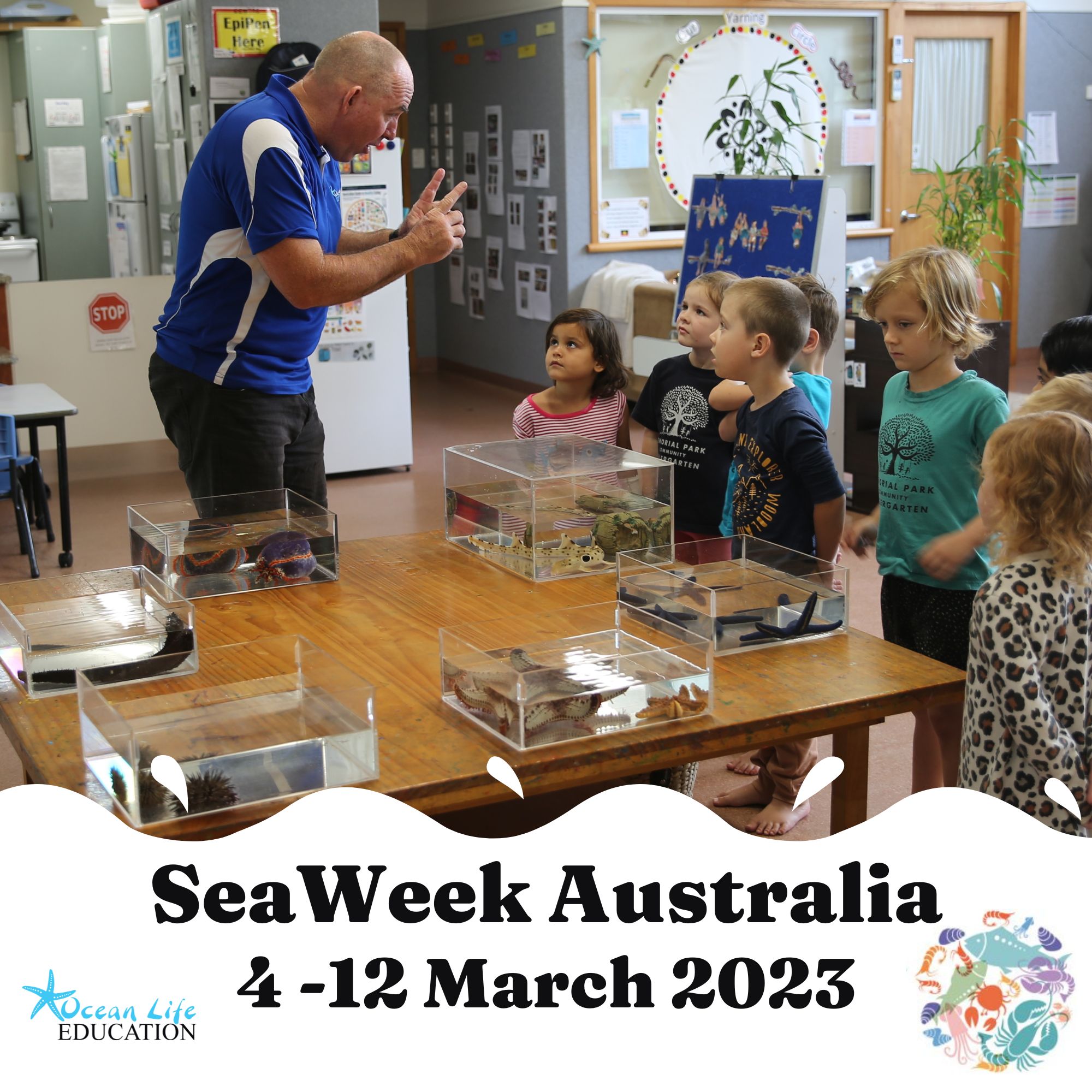 SeaWeek | Ocean Life Education
