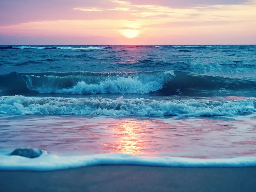 How the Great Barrier Reef Supports Biodiversity and Healthy Oceans ...