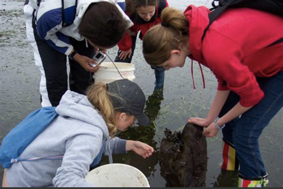 Why the Ocean is a Great Theme for High Schools - Ocean Life Education