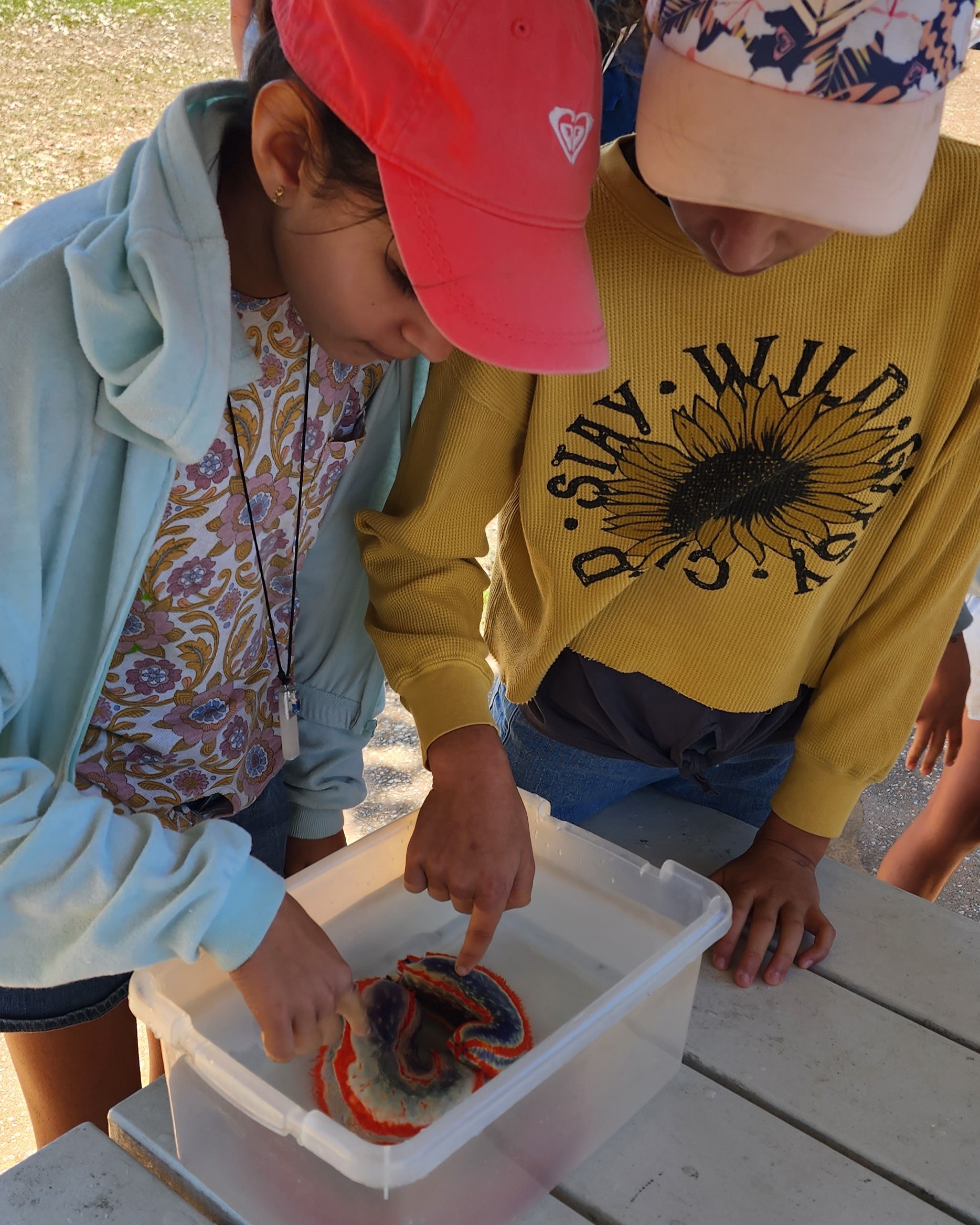 Ocean Life Education: Coastal Habitats Educational Excursion - Ocean ...