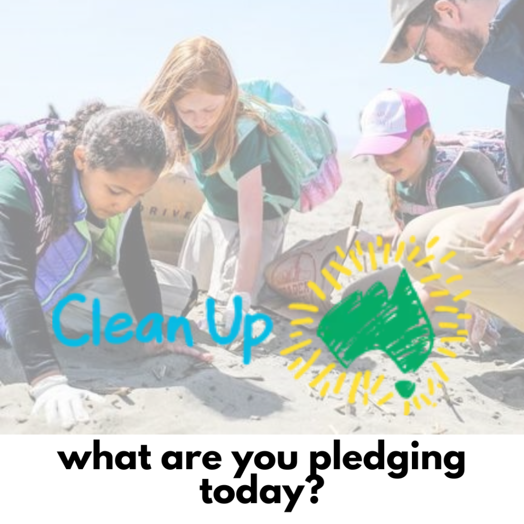 SeaWeek Archives - Ocean Life Education