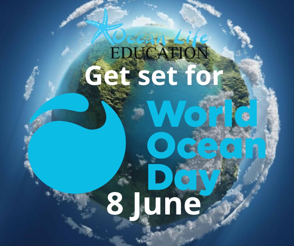 Get Set for World Ocean Day Australia 2024 - Ocean Life Education