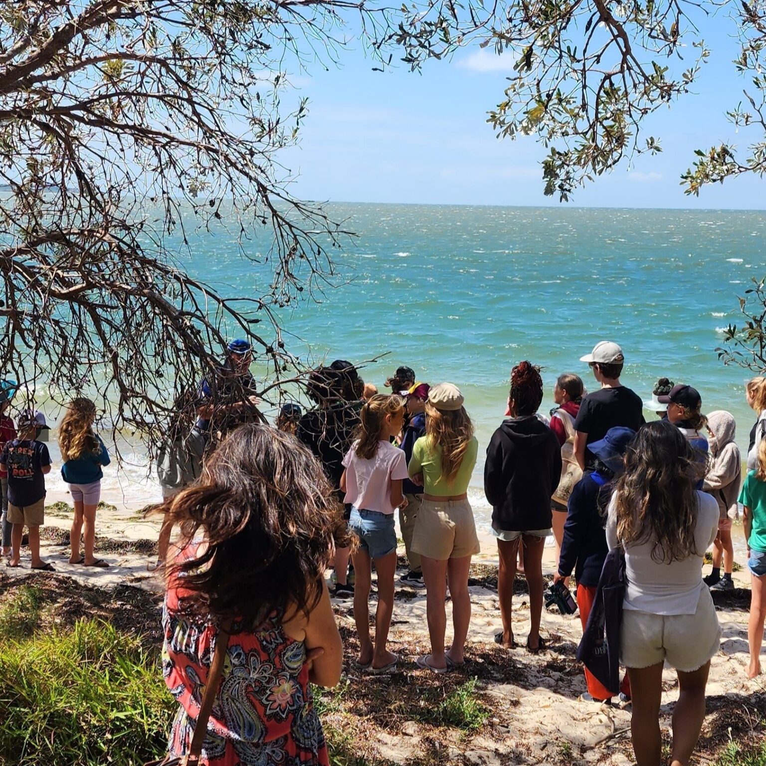Year 7 Science Incursions in Brisbane - Ocean Life Education