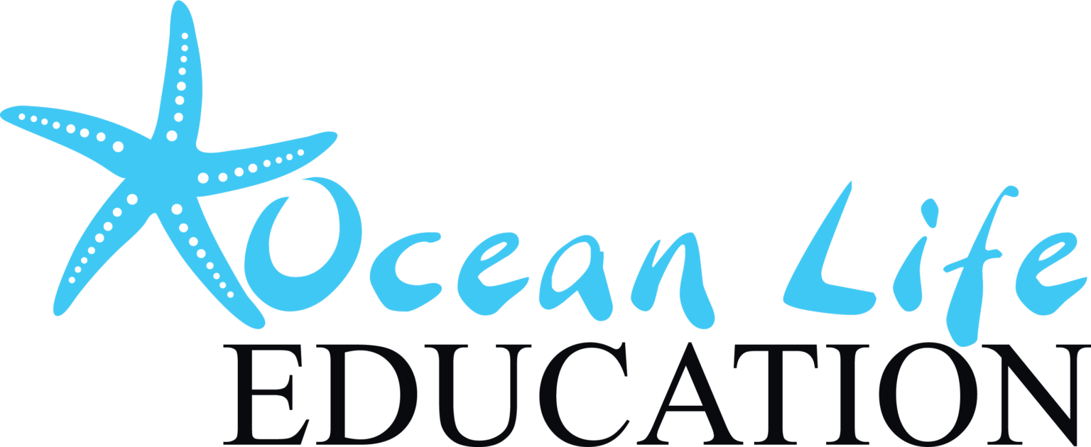 Teaching Kids About Sharks: Their Crucial Role in Ocean Ecosystems ...