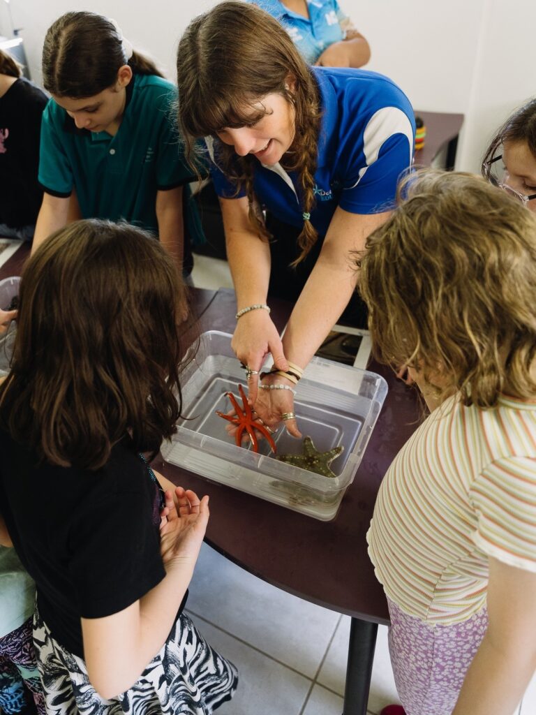 Teaching Kids About Sharks: Their Crucial Role in Ocean Ecosystems ...