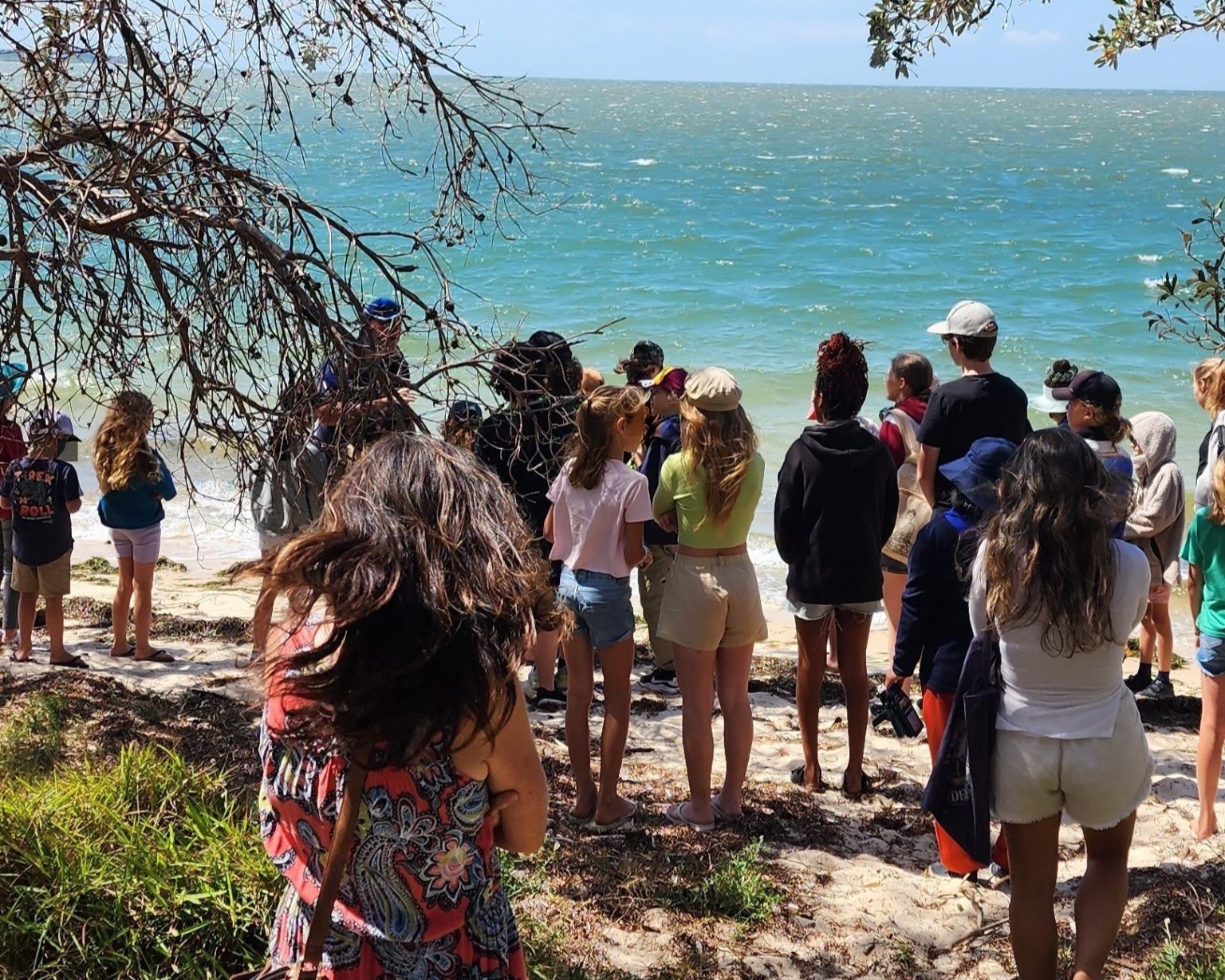 Coast Care Week: Inspiring Students to Protect East Australia’s Shores ...
