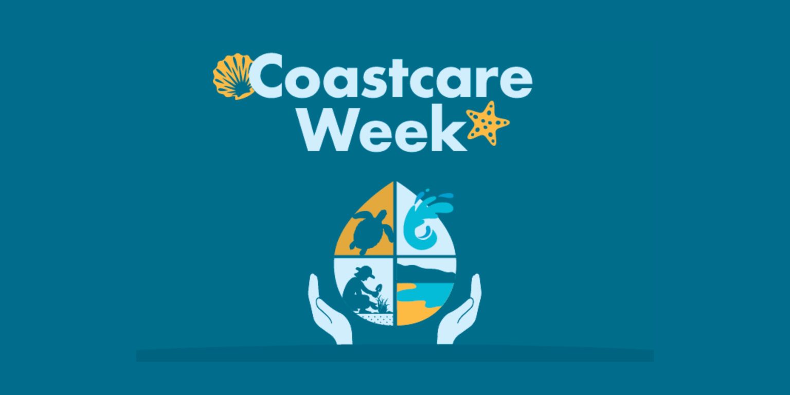 2026 Ocean Events: Curriculum-Aligned Classroom Activities for the ...