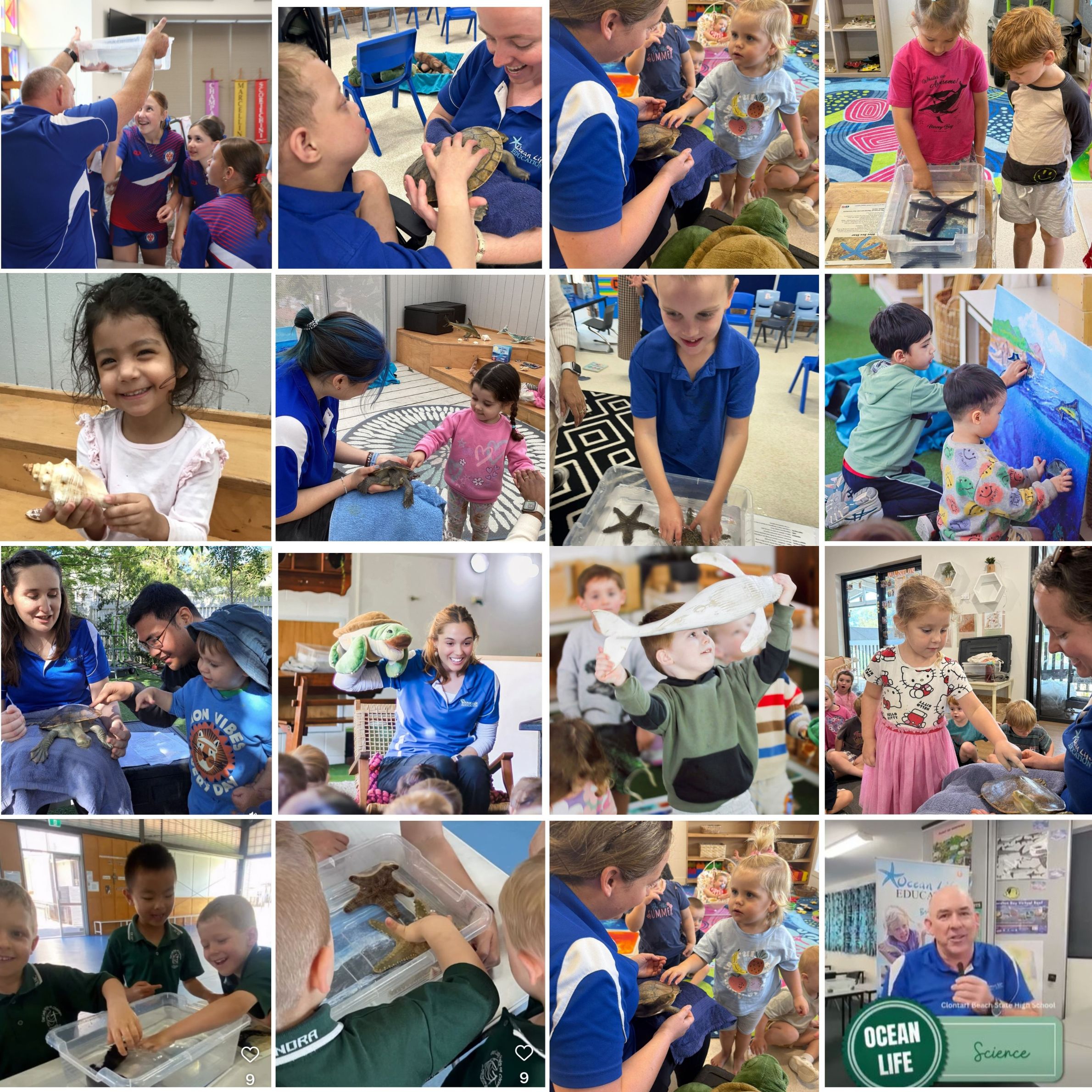 2026 Ocean Events: Curriculum-Aligned Classroom Activities for the ...